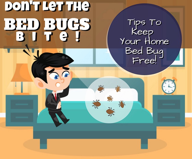 Tips to keep your home Bed Bug Free! - Infographic - RTM Cleaning Solutions