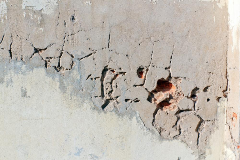 Gnat What You Expected: Hoarding Leads to Bug Infestation